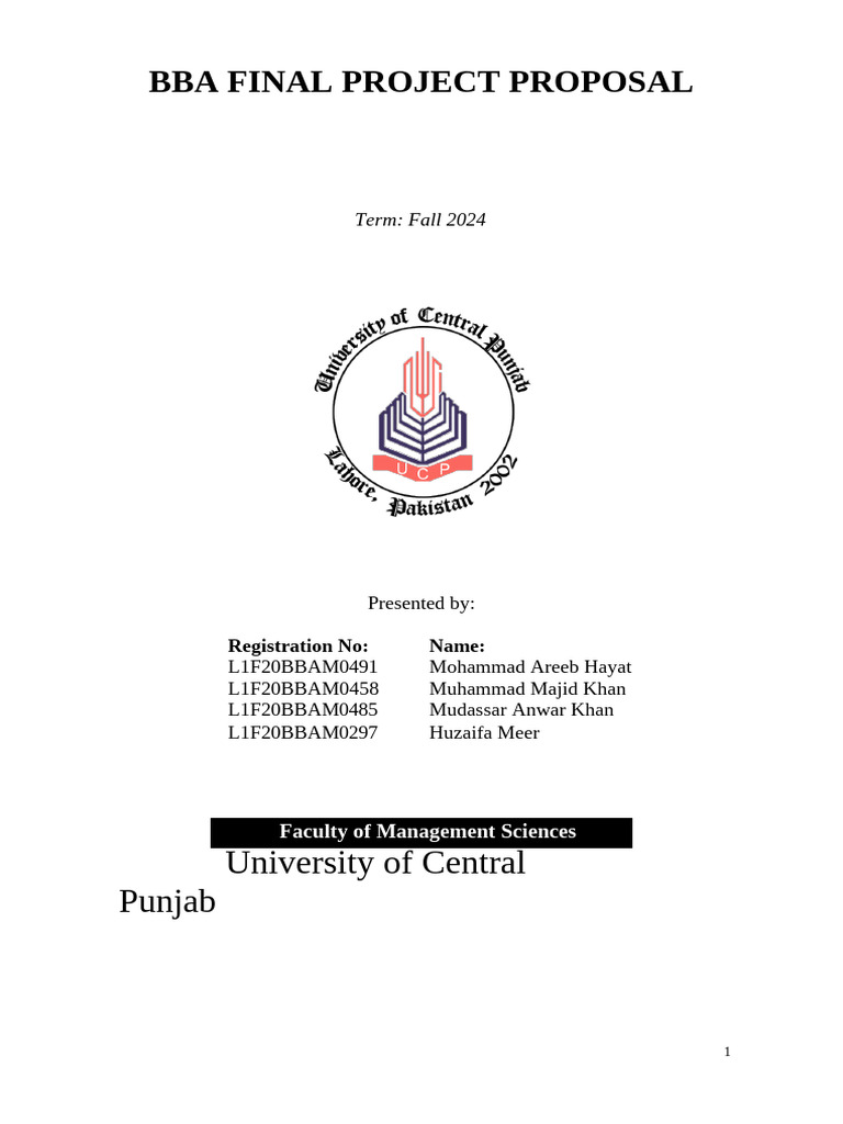 Bba Final Year Project Report | PDF | Analytics | Digital Marketing