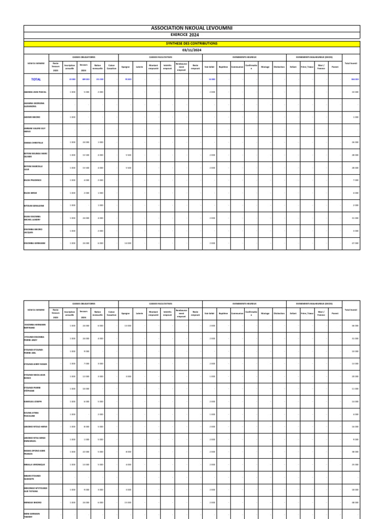 Nkoual 20241103 | PDF