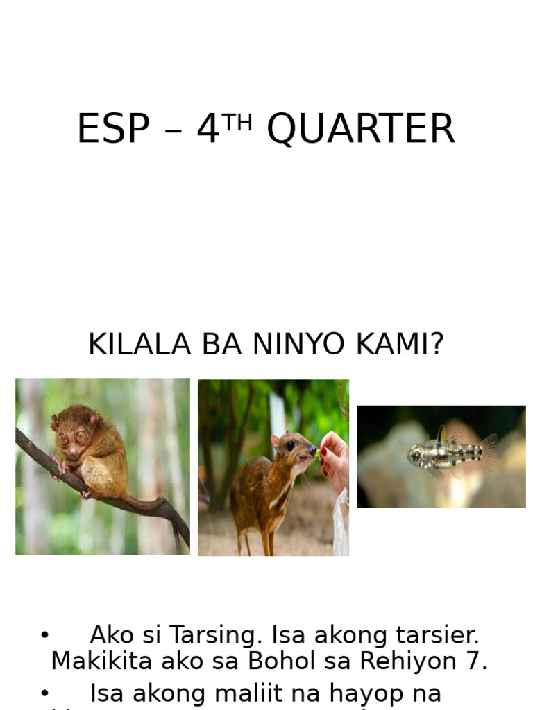 Esp 4th Quarter | PDF