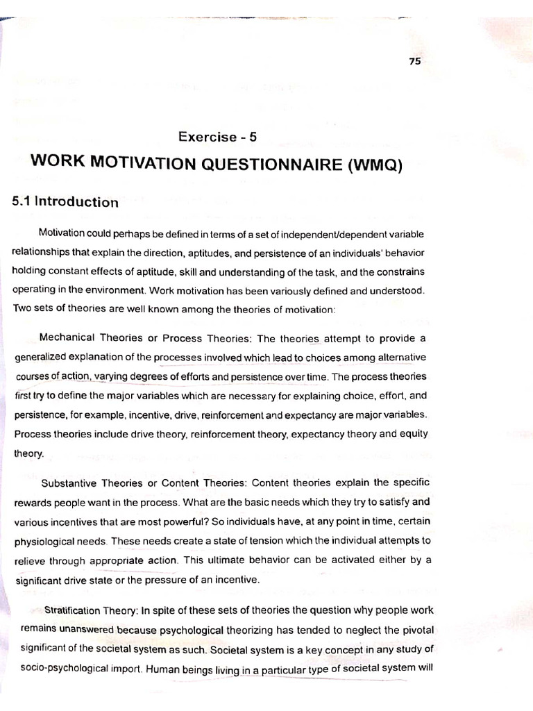 8a. Work motivation - Theory | PDF