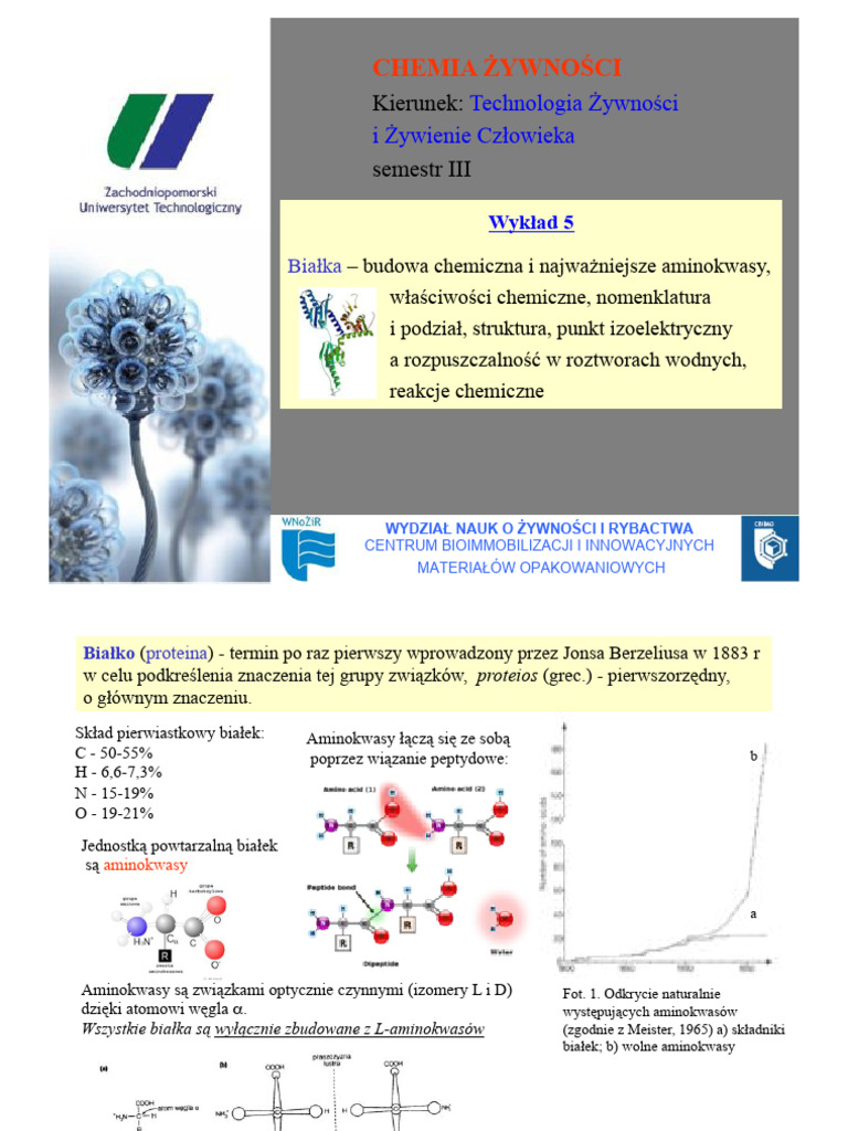 ch-zywnosci_-_wyklad_5_-_bialka-low | PDF