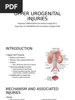 AAST Renal Injury Scale | PDF | Kidney | Injury