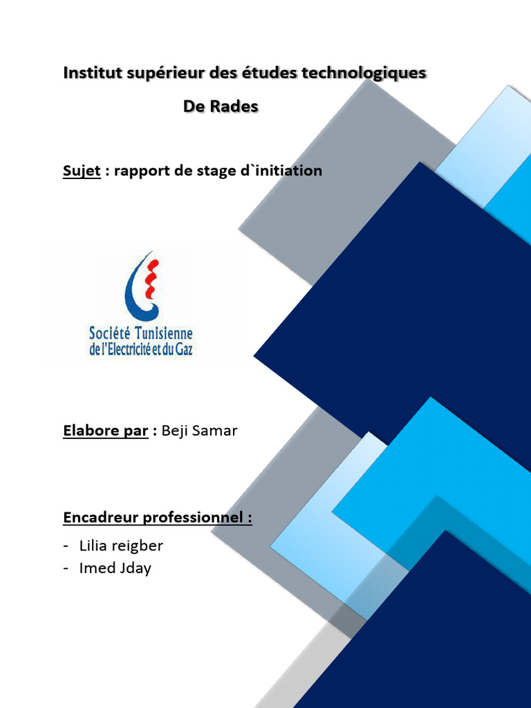 Rapport de stage à la STEG | PDF | Facture | Comptabilité