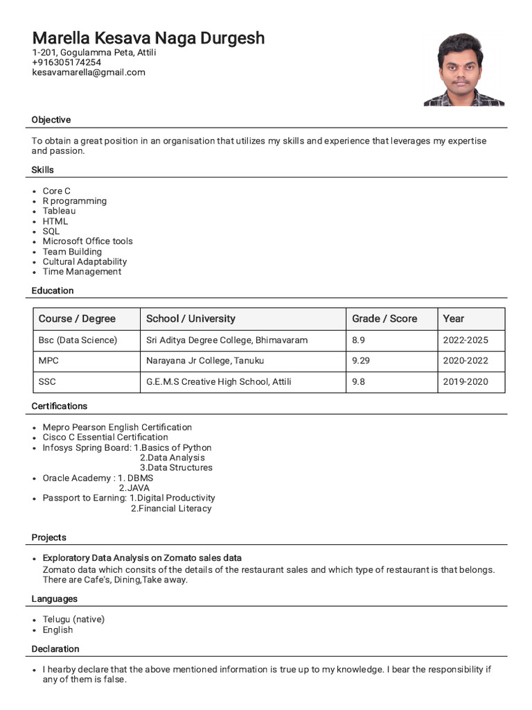 Deloitte resume | PDF