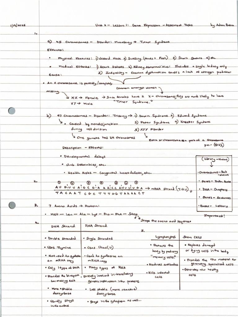 Lesson 1 - Gene Expression | PDF