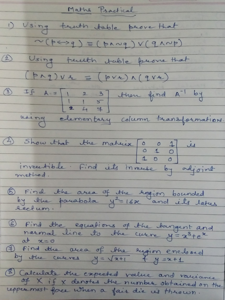 Maths Practical Questions | PDF