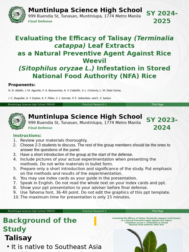 Talisay Extracts vs. Rice Weevils | PDF | Rice