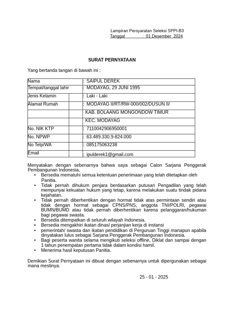 Sppi Ipul Dokument Fix 2025 | PDF