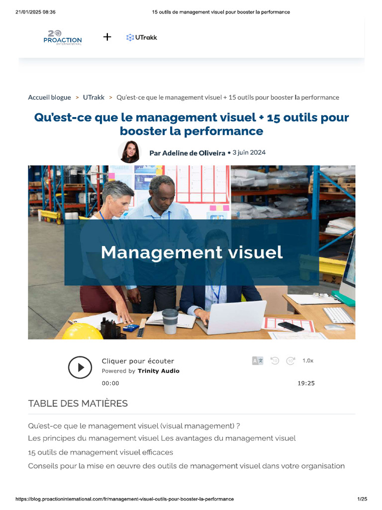 Management Visuel | PDF