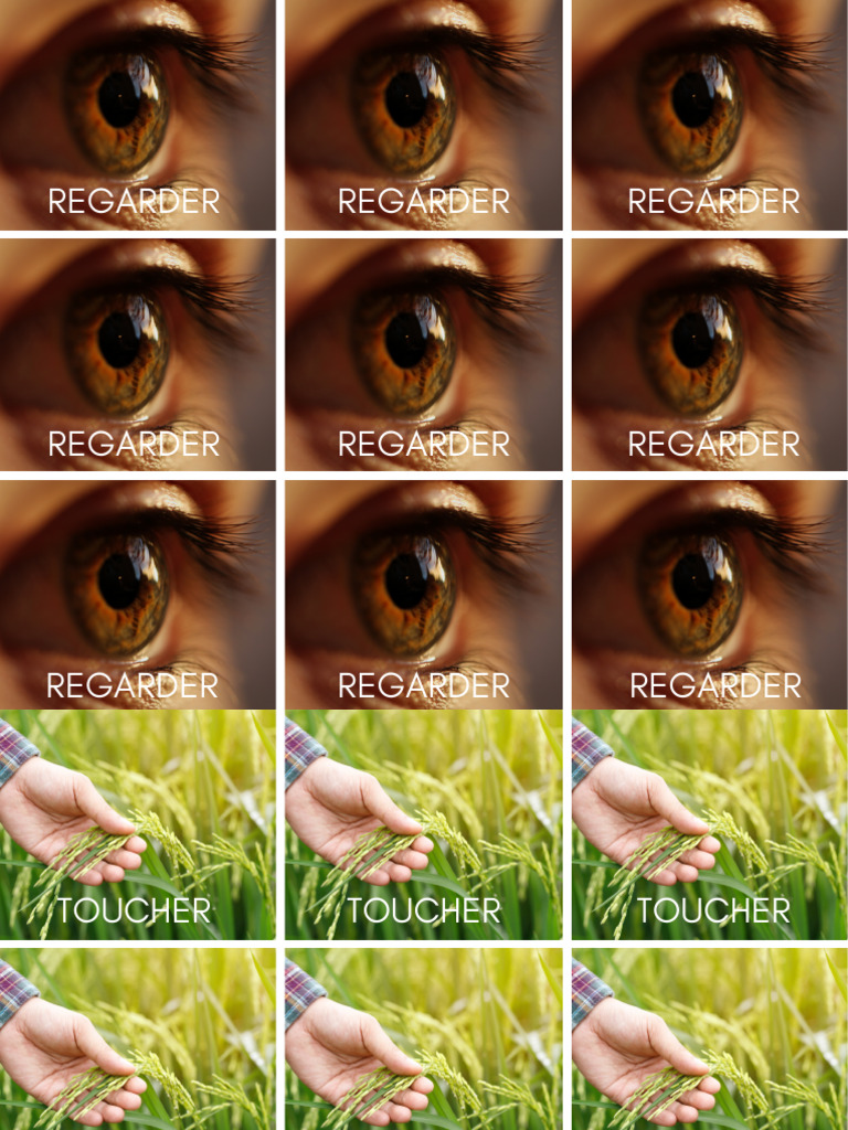 Sensory Focus and Mindfulness Guide | PDF