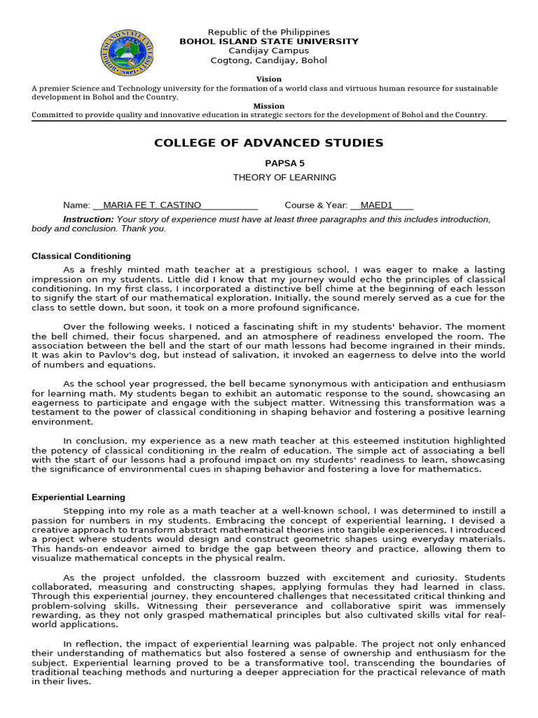 Castino's Output On PAPSA 5 | PDF | Learning | Mathematics