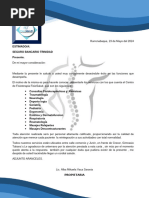 Códigos FONASA 2022 | PDF | Medicina de rehabilitación | Terapia