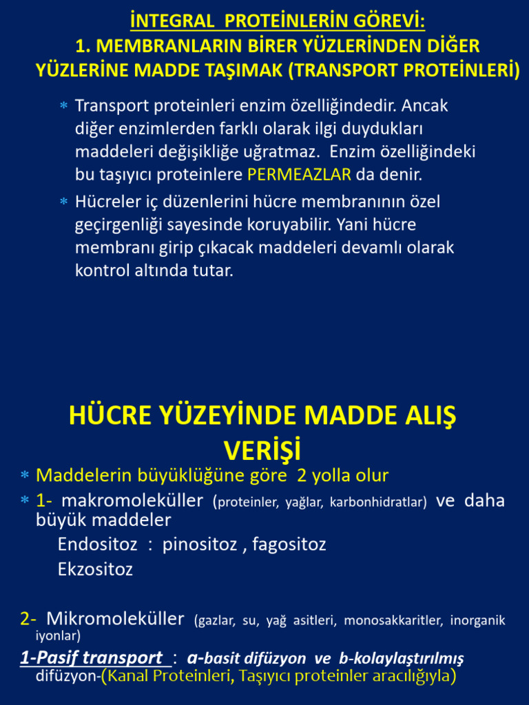 Medikal Biyoloji 3. Hafta | PDF