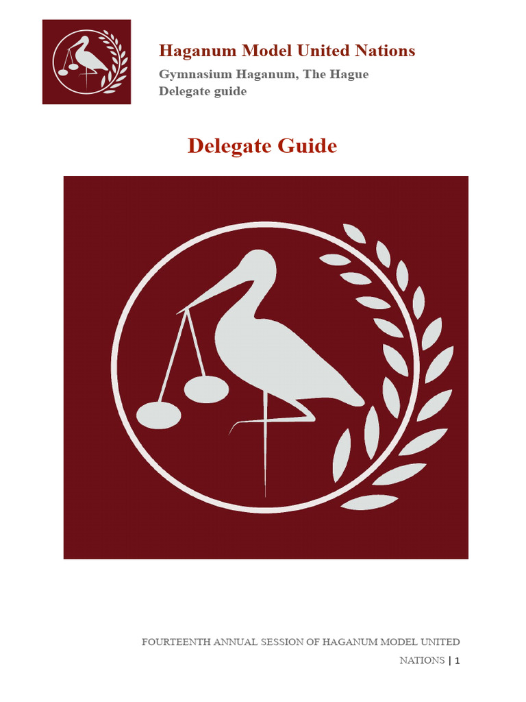 HagaMUN 2024 Delegate Guide | PDF