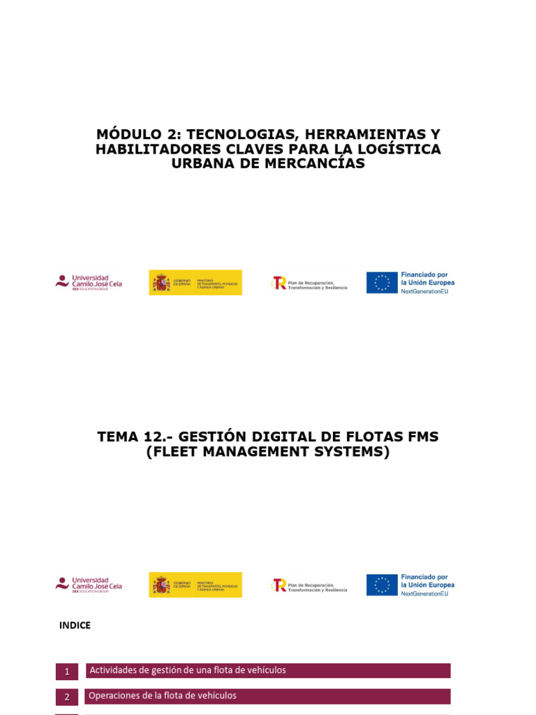 Módulo 2 - Tema 12 - GESTIÓN DIGITAL DE FLOTAS FMS (FLEET MANAGEMENT SYSTEMS) | PDF | Business | Eje
