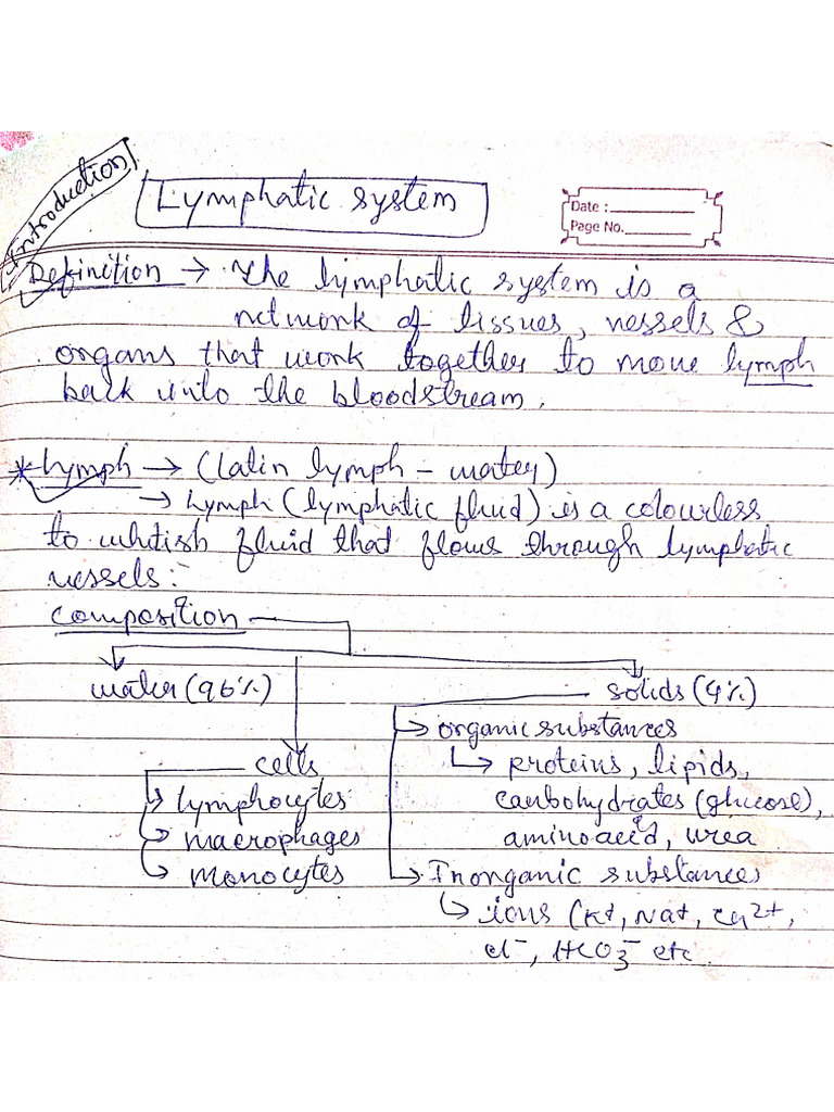 Lymphatic System Hap Pdf