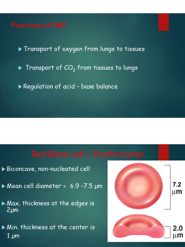 blood 2 | PDF | Red Blood Cell | Anatomy