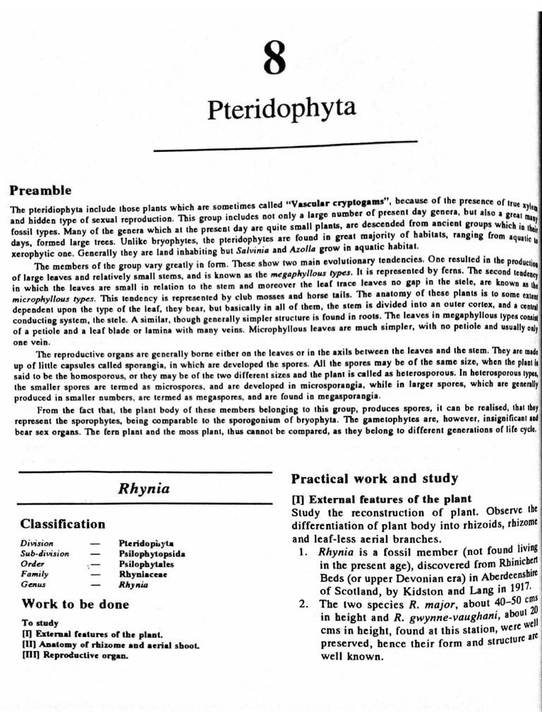 Pteridophytes Practical Book | PDF