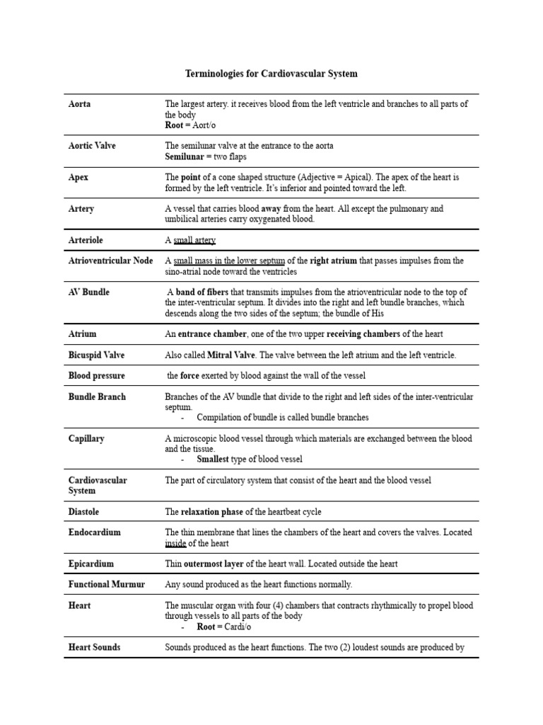 Cardiovascular System Terminology Guide | PDF | Heart | Heart Valve