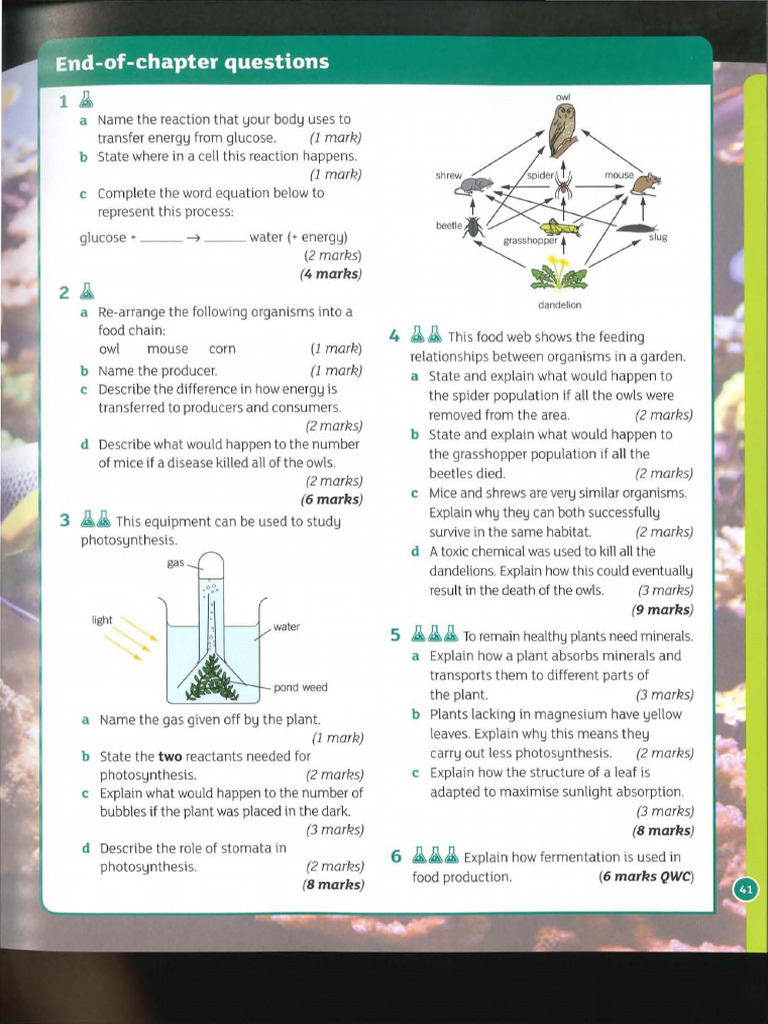 Ecosystem - Practice Questions | PDF | Photosynthesis | Foods