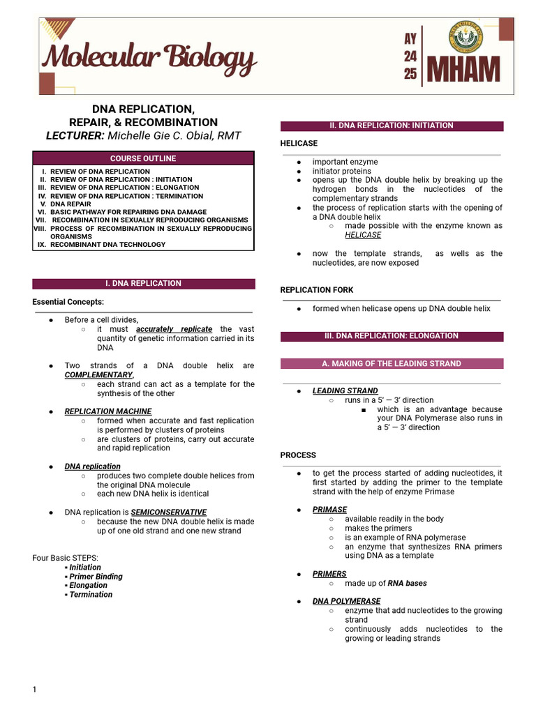 Molbio L3 Review Repair Recombination | PDF | Dna Replication | Dna