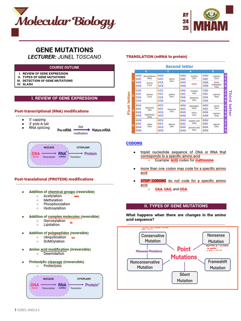 Molbio l11 Gene Mutation | PDF | Point Mutation | Genetic Code