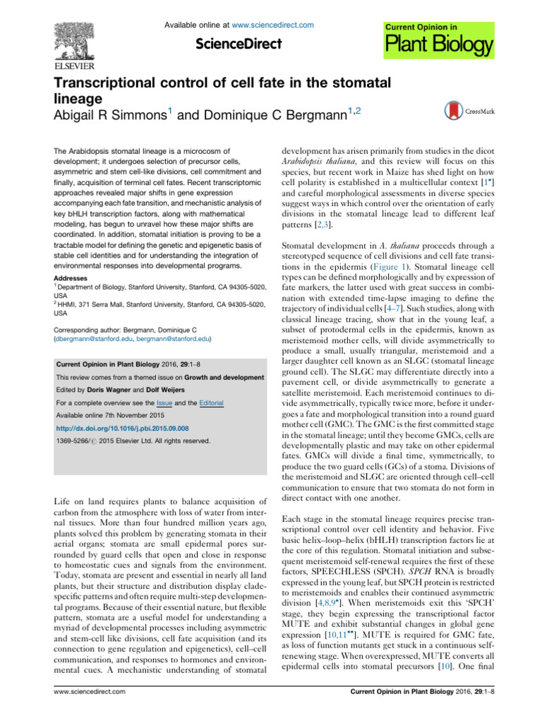 Transcriptional control of cell fate in the stomatal lineage(1) | PDF ...