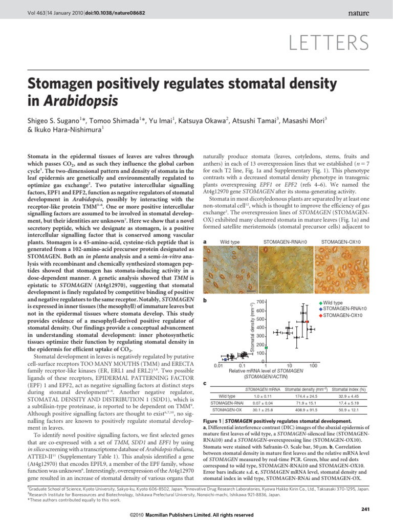 Stomagen Enhances Stomatal Density in Arabidopsis | PDF | Stoma | Leaf