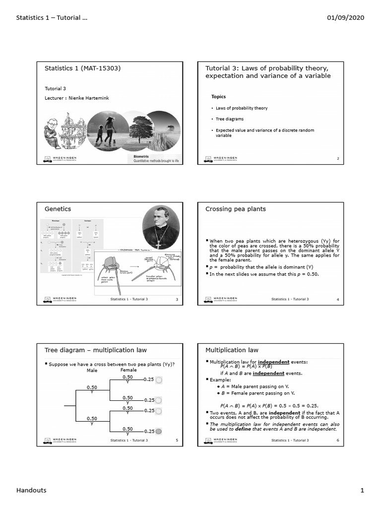 Probability Laws and Expectations Tutorial | PDF | Expected Value ...