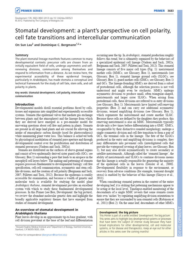 Stomatal Development - A Plant's Perspective On Cell Polarity, Cell ...