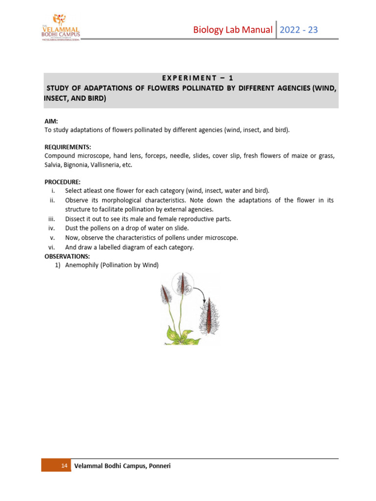 Experiment No - 1 Adaptations of Flowers Pollinated by Different ...