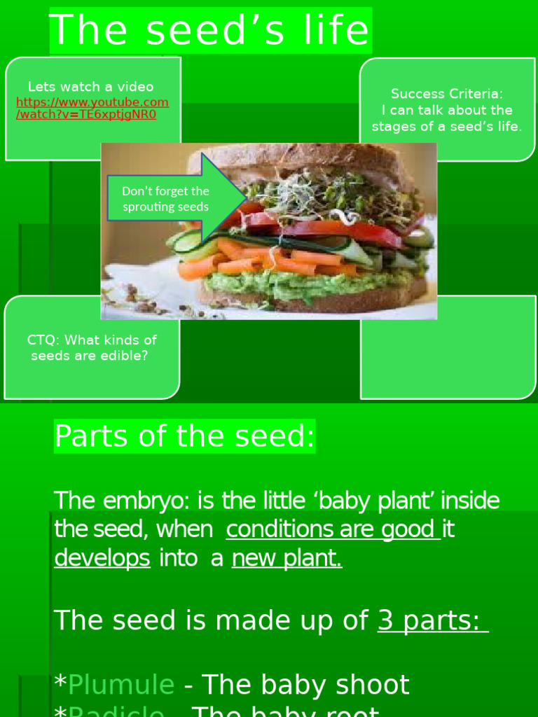 5.the Seeds Lifecycle | PDF