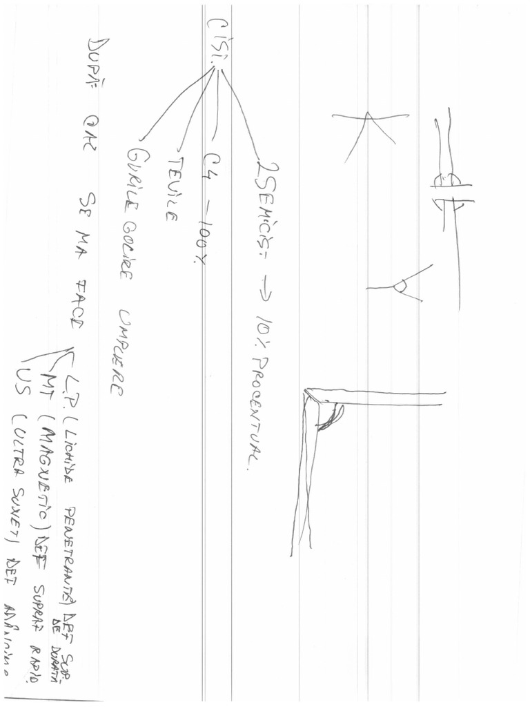 Scan 20241127 132822404 | PDF