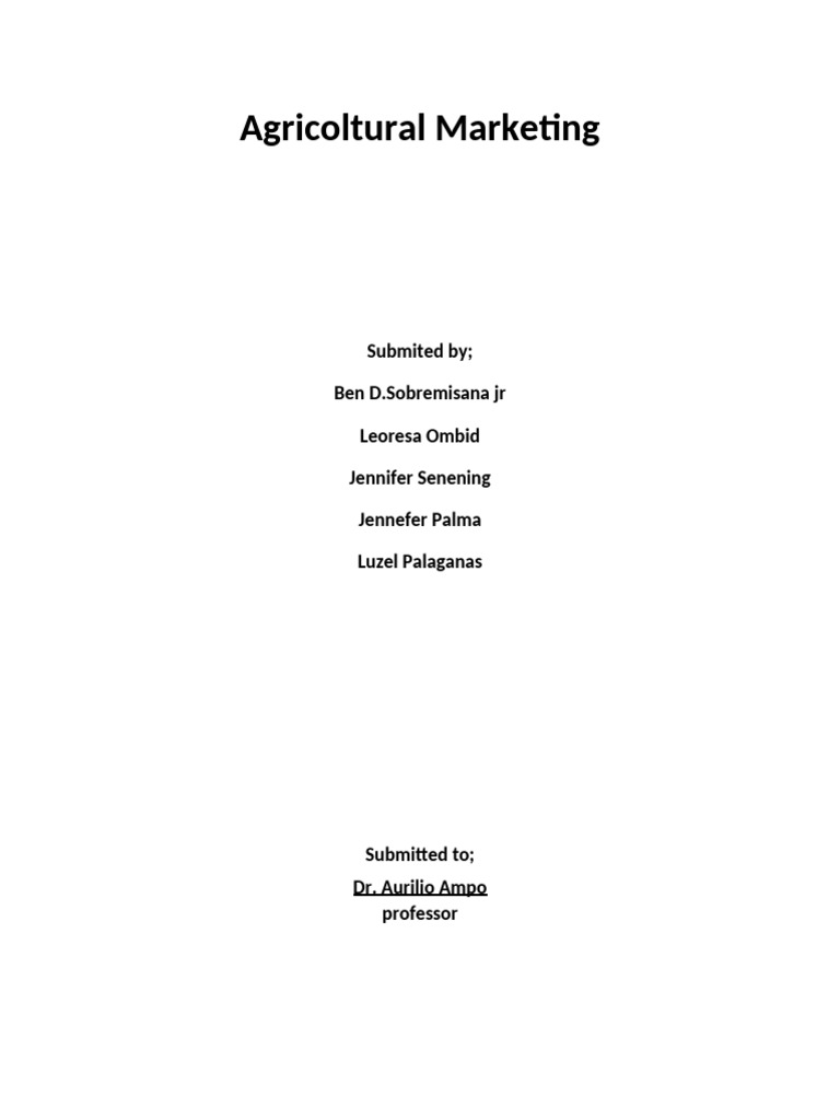 Marketing Strat-WPS Office | PDF