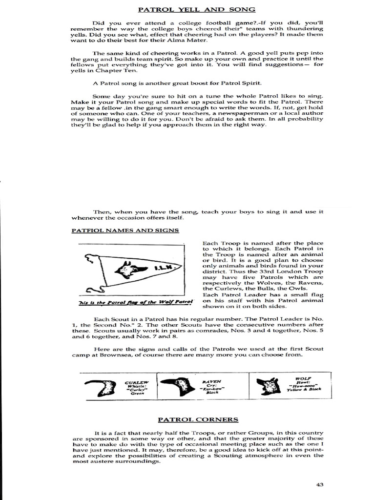 Patrol Yells and Spirit Building | PDF | Foods | Vegetables