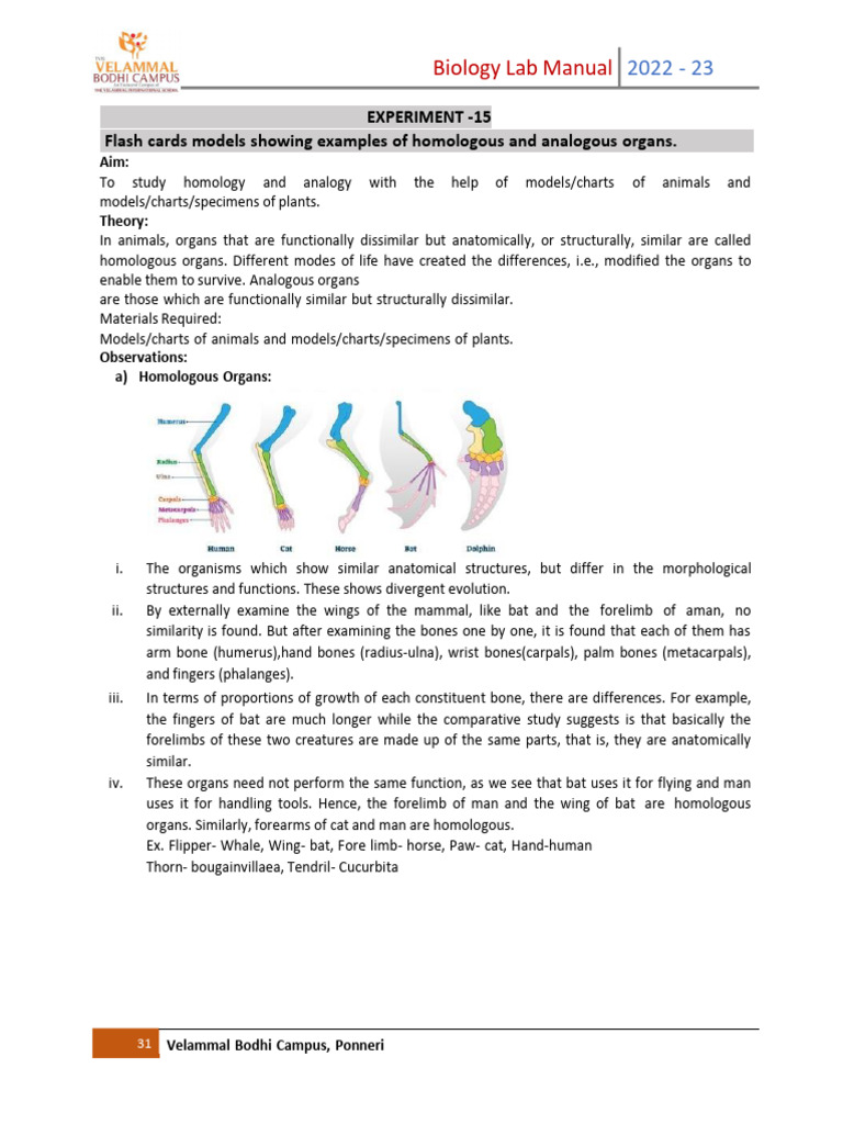 Homologous and Analogous Organs Study | PDF | Homology (Biology) | Hand