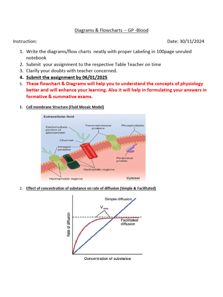 1.diagrams - GP & Blood-24-25 | PDF | Coagulation | Proteins