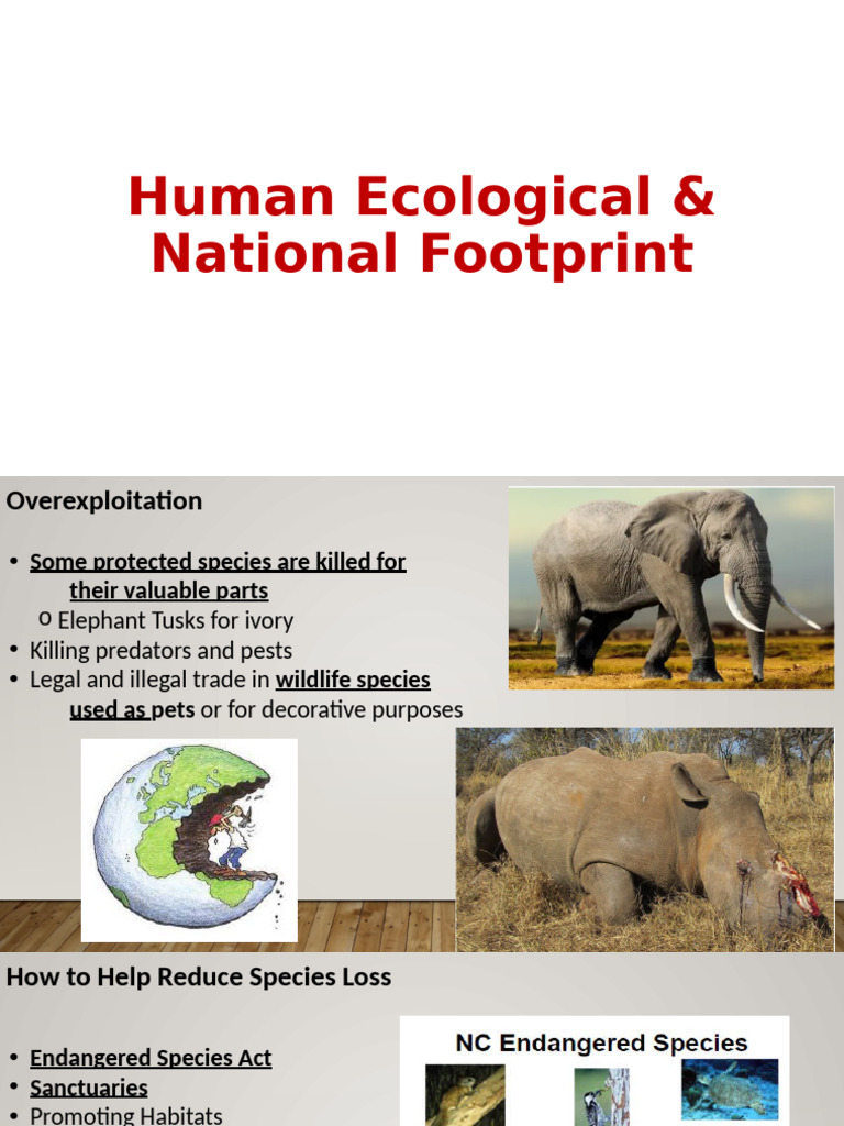 Understanding Ecological Footprints | PDF | Ecology | Nature