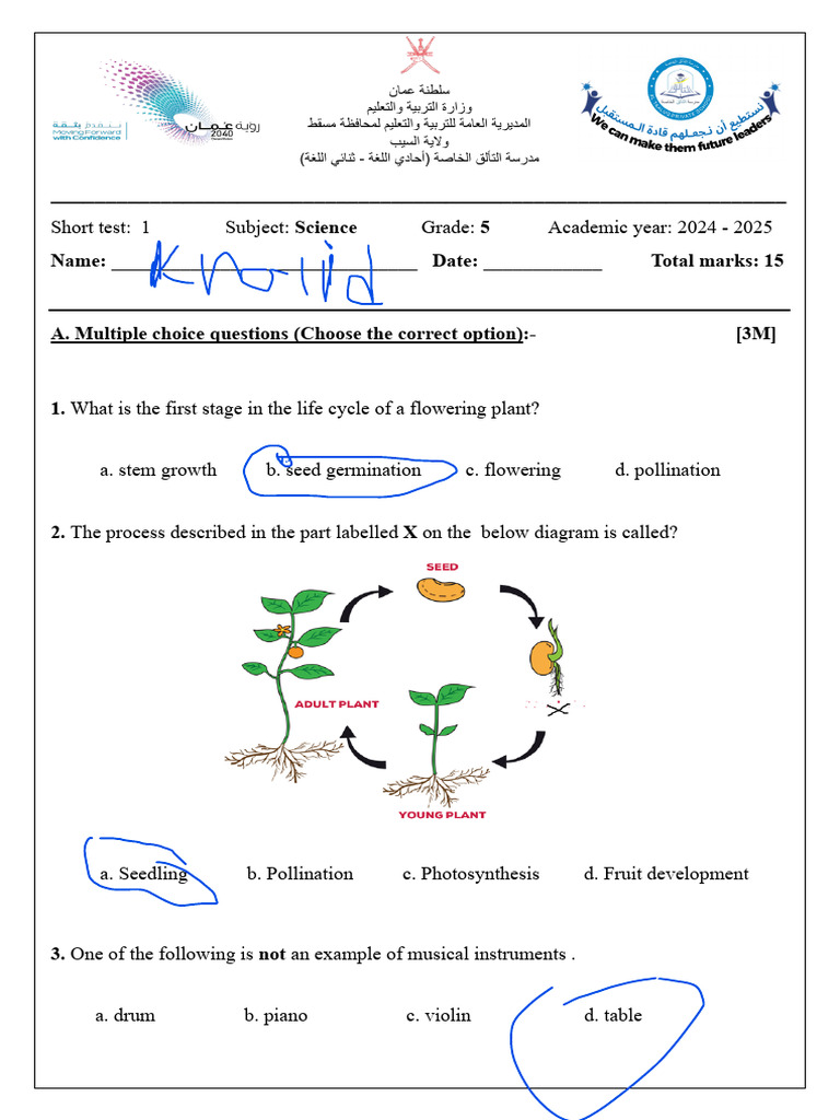 Grade 5 Science Test: Plant Life Cycle | PDF | Flowers | Petal