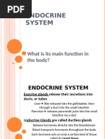 Endocrine System Worksheet | PDF | Endocrine System | Hormone