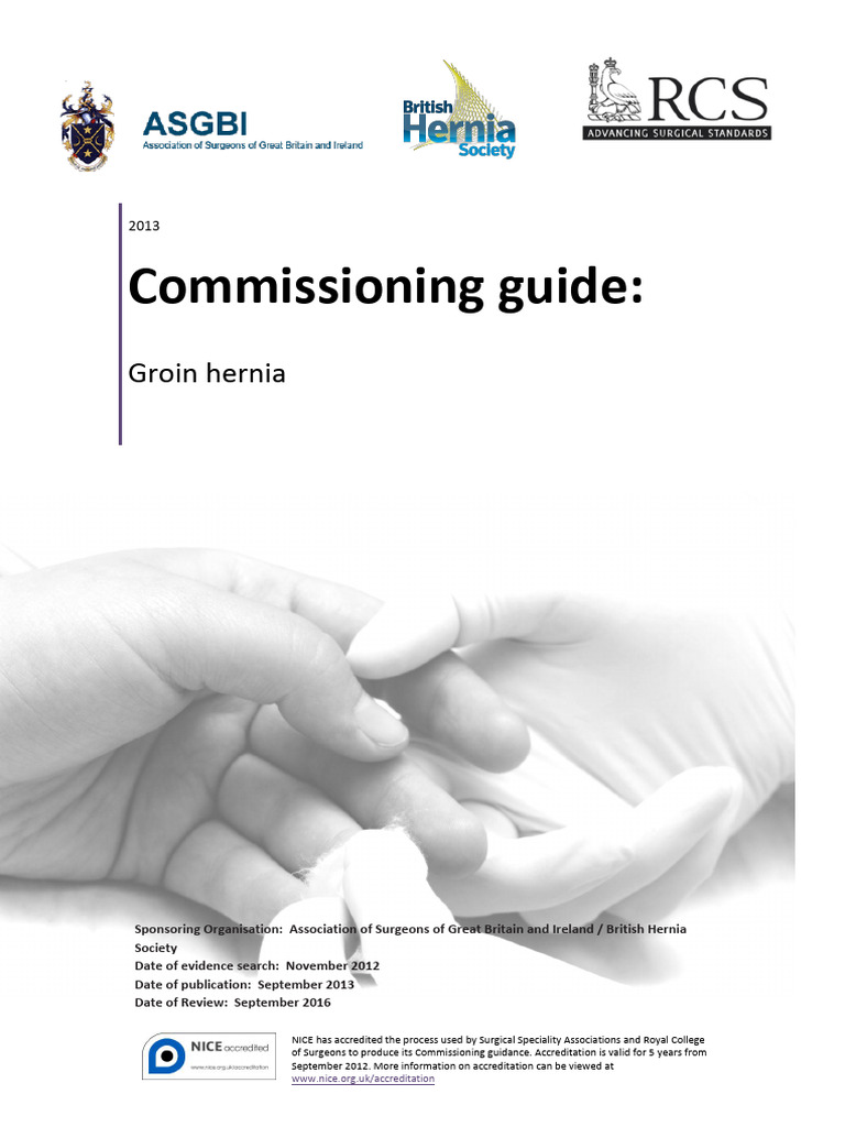 Groin Hernia Care Guide 2013 | PDF | Medicine | Medical Specialties