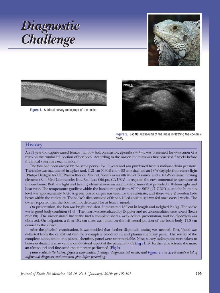 2010 Diagnostic-Challenge-snake (First Author) | PDF | Sarcoma | Biopsy