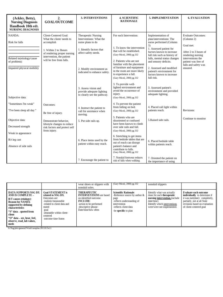 247880153 Client Care Plan Risk for Falls | PDF | Nursing | Risk