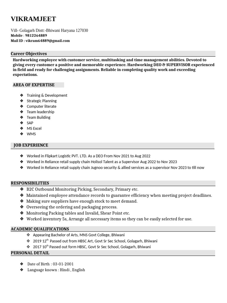 vk resume | PDF