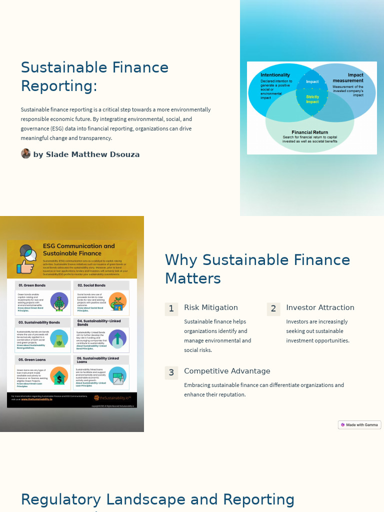 Sustainable Finance Reporting Guide | PDF | Sustainability | Economy ...