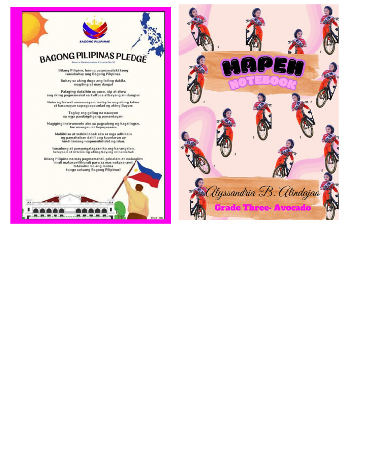 Ally's Cover Notebook 2024 | PDF