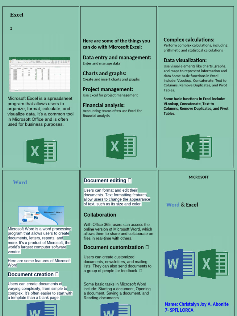 Microsoft Excel and Word Overview | PDF | Microsoft Excel | Microsoft Word