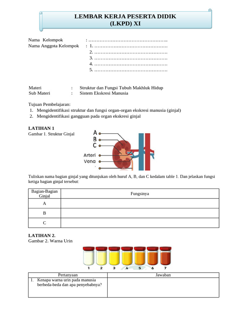 LKPD 11. Sistem Ekskresi Manusia | PDF