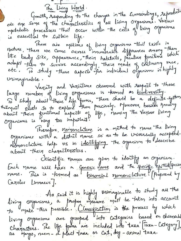 Pdf Of These Notes Pdf