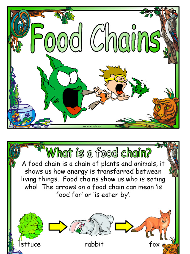 Natural Science Posters | PDF